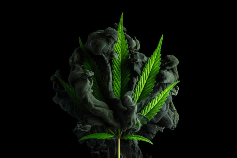 Wat Doet Wiet met Je Hersenen? Korte- en Lange Termijn